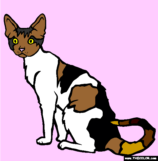 5,689+ Free Online Coloring Pages | TheColor.com